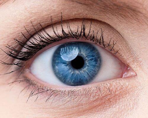 Ophthalmologist Port Orange | Eye Doctor Port Orange | Location